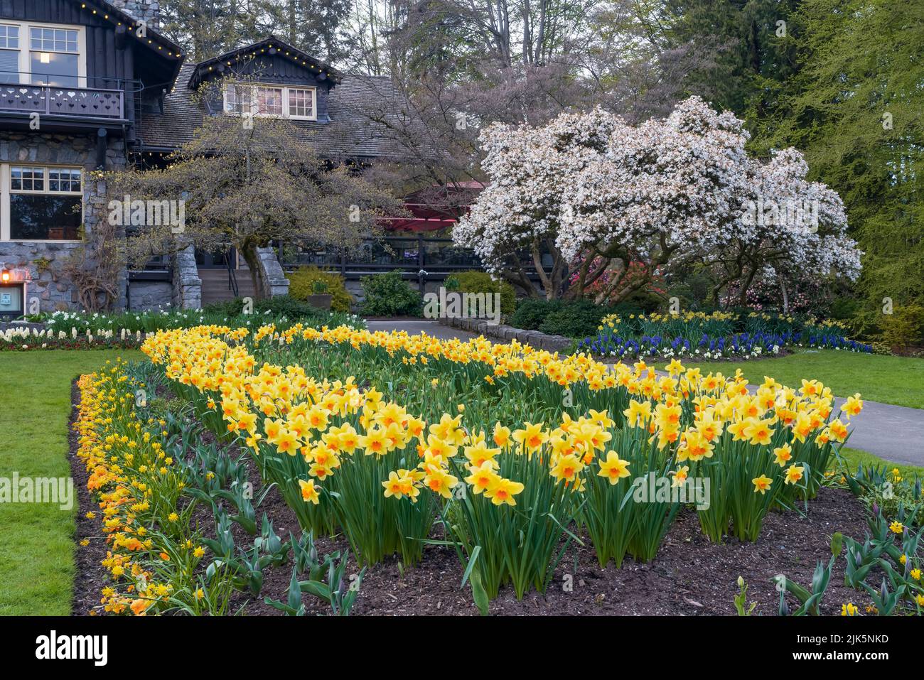 Spring flower gardens in full bloom in Stanley Park, Vancouver, British ...