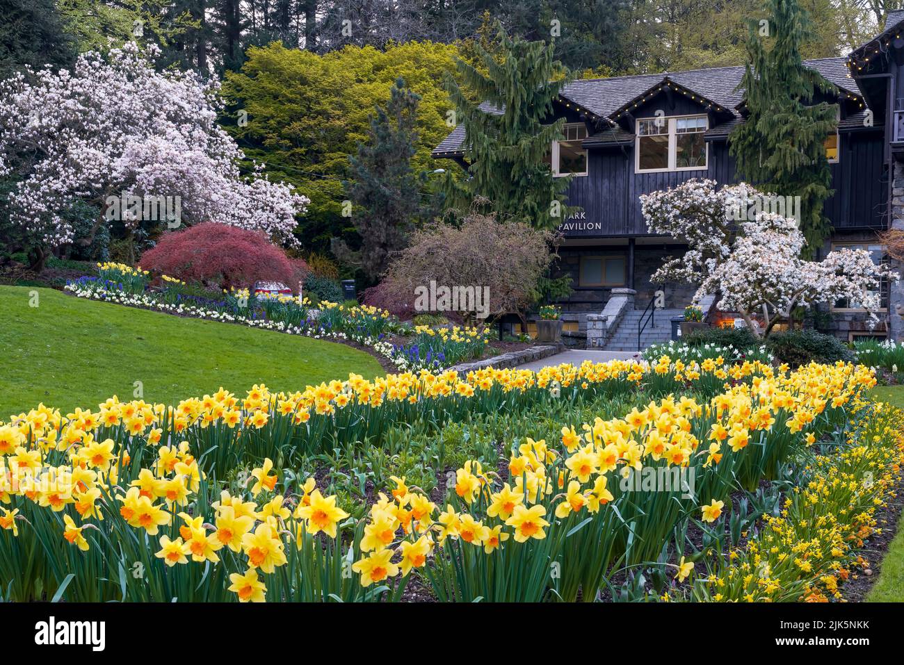 Spring flower gardens in full bloom in Stanley Park, Vancouver, British ...