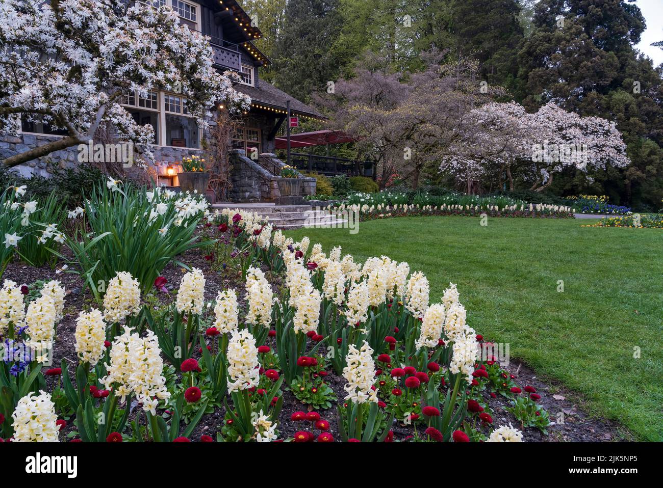 Spring flower gardens in full bloom in Stanley Park, Vancouver, British ...