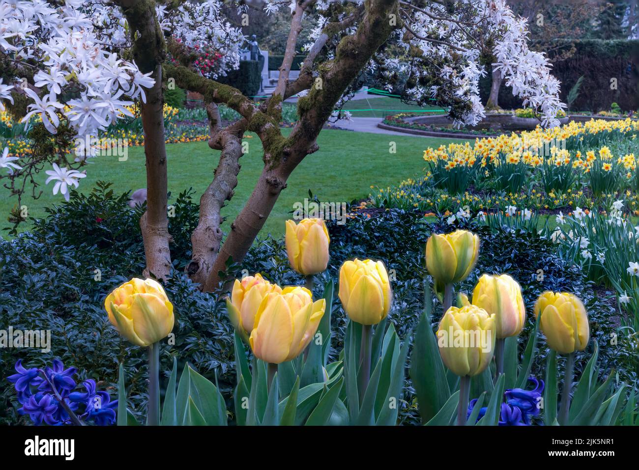 Spring flower gardens in full bloom in Stanley Park, Vancouver, British ...