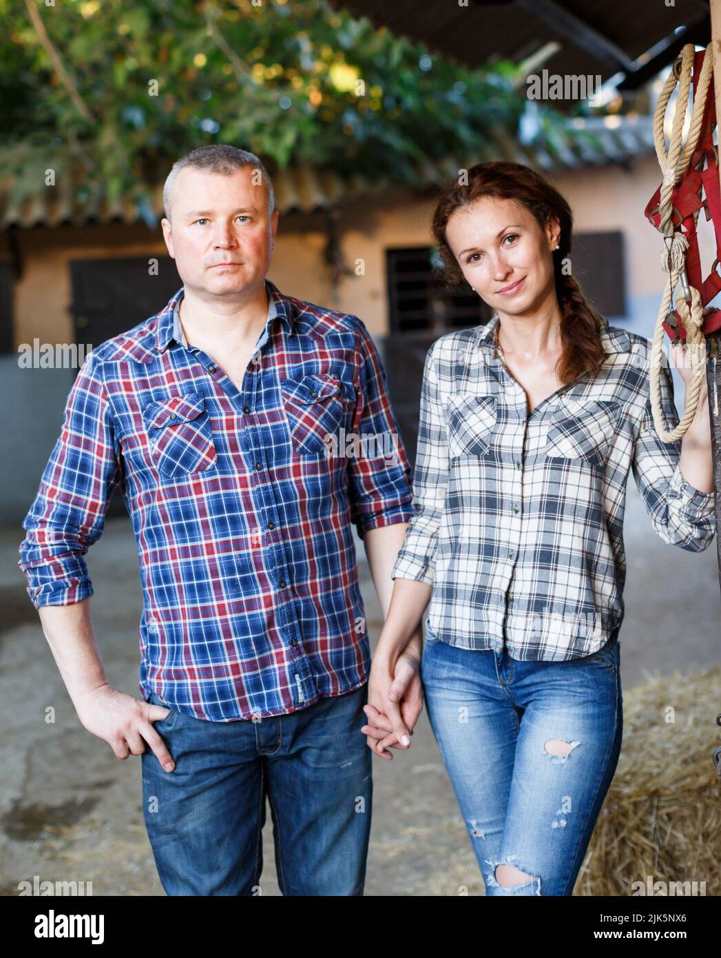 Positive family couple with belly-band standing at stable outdoor Stock ...