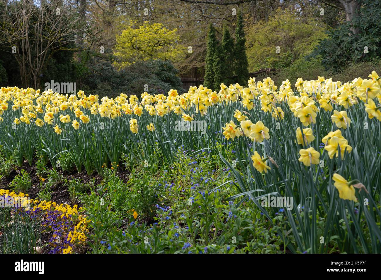 Botanicfal gardens hi-res stock photography and images - Alamy