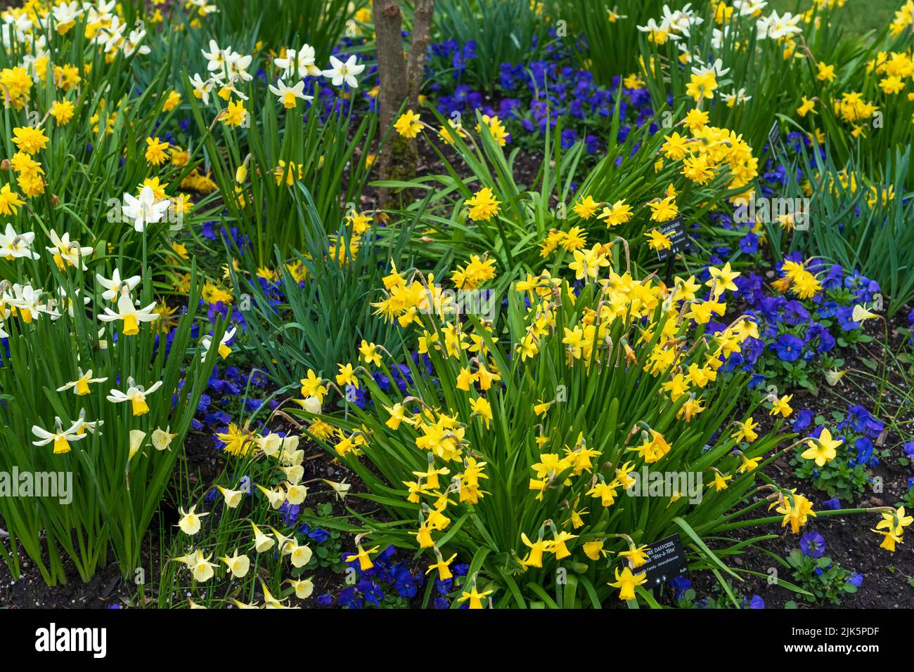 Botanicfal gardens hi-res stock photography and images - Alamy