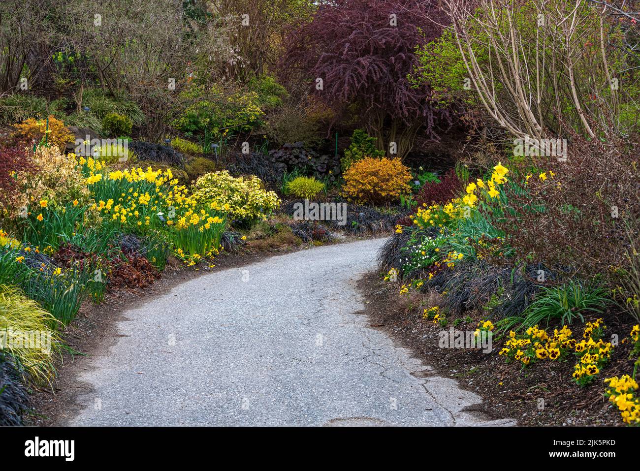 Spring blossoms in the Van Dusen Botanical Gardens, Vancouver, British ...
