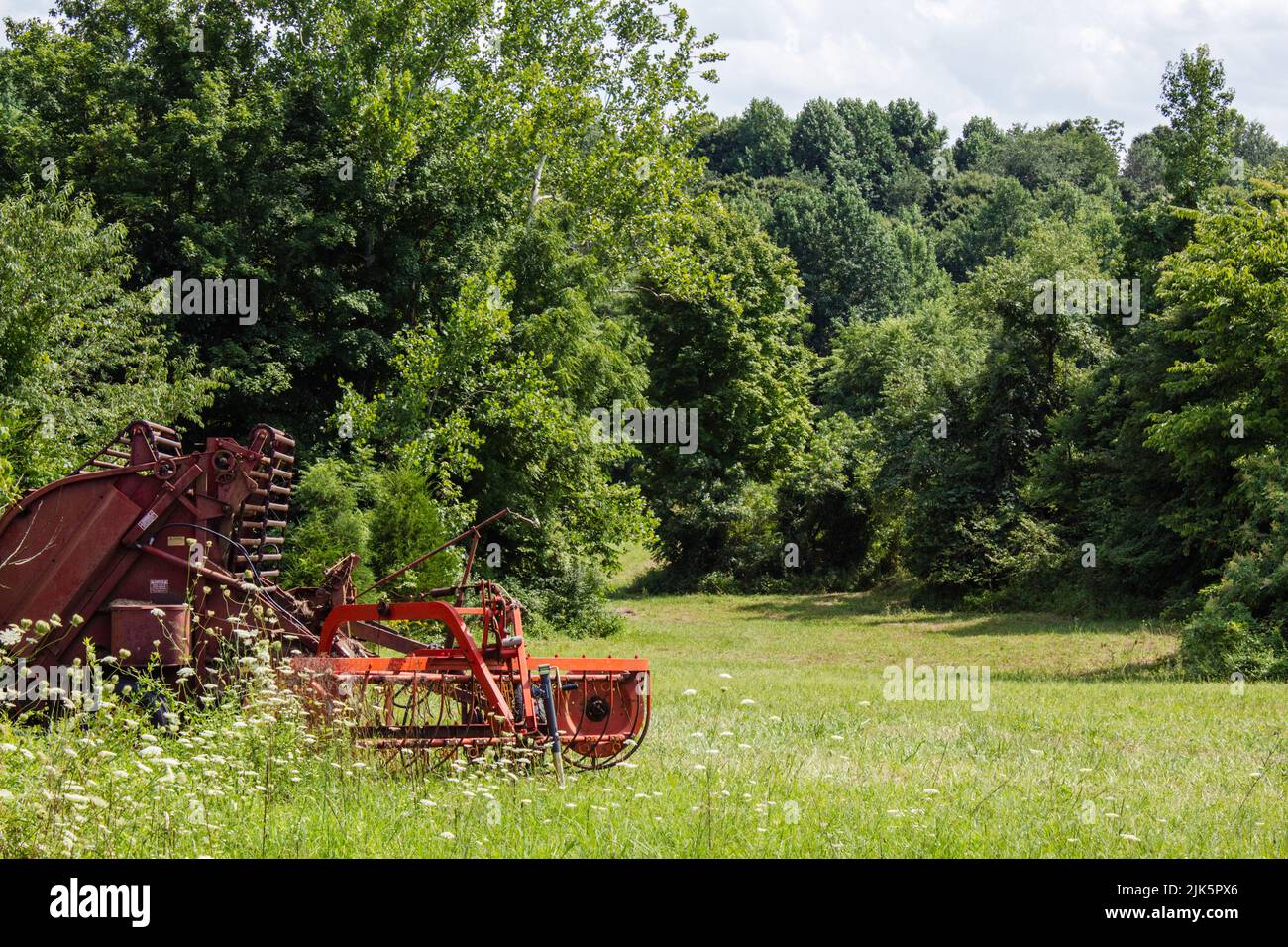 Green field, white flowers and red farm equipment on a sunny day Stock ...