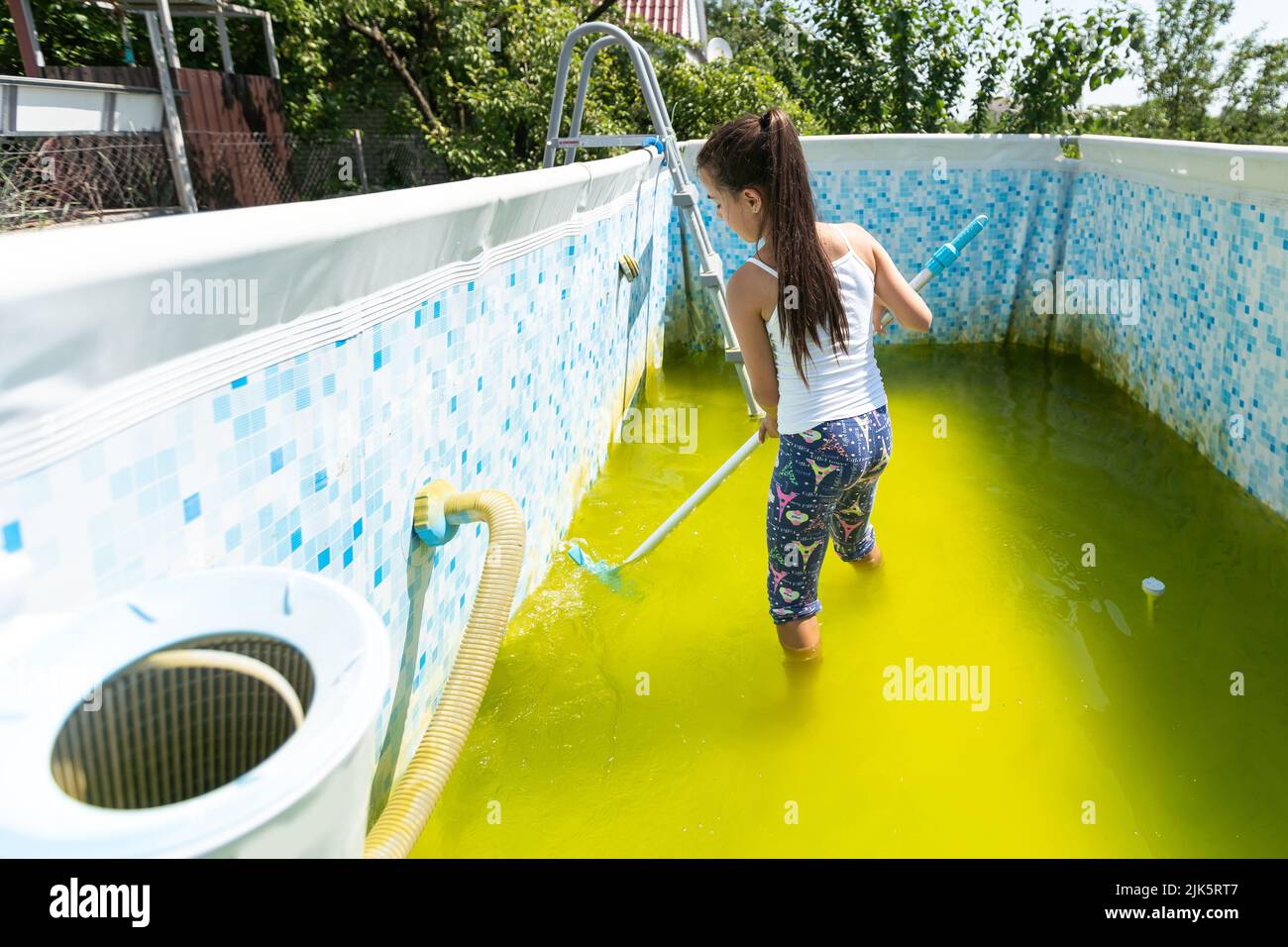 Back yard swimming pool behind modern single family home at pool ...
