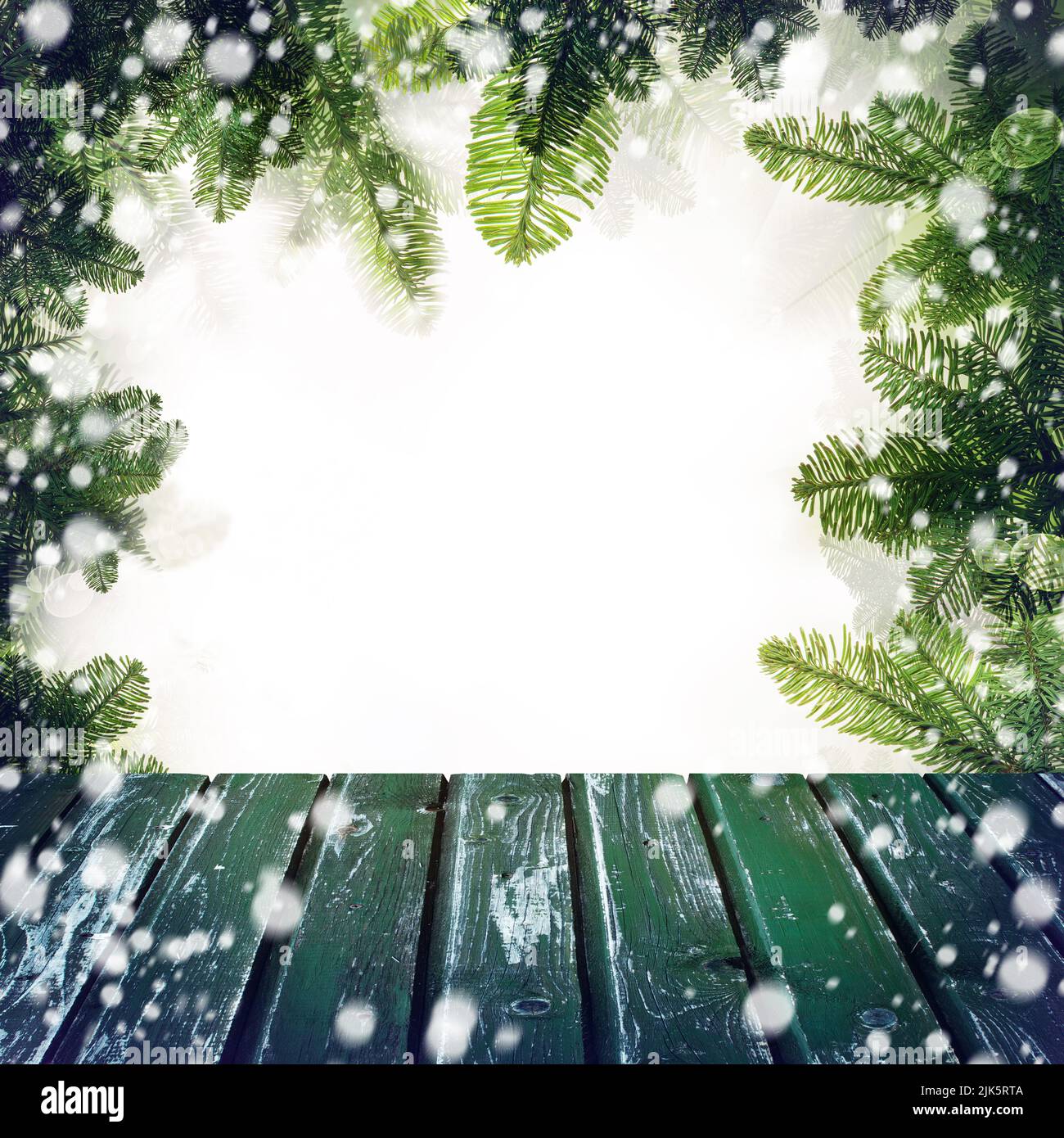 Evergreen fir branch frame border and green wood background Stock Photo ...