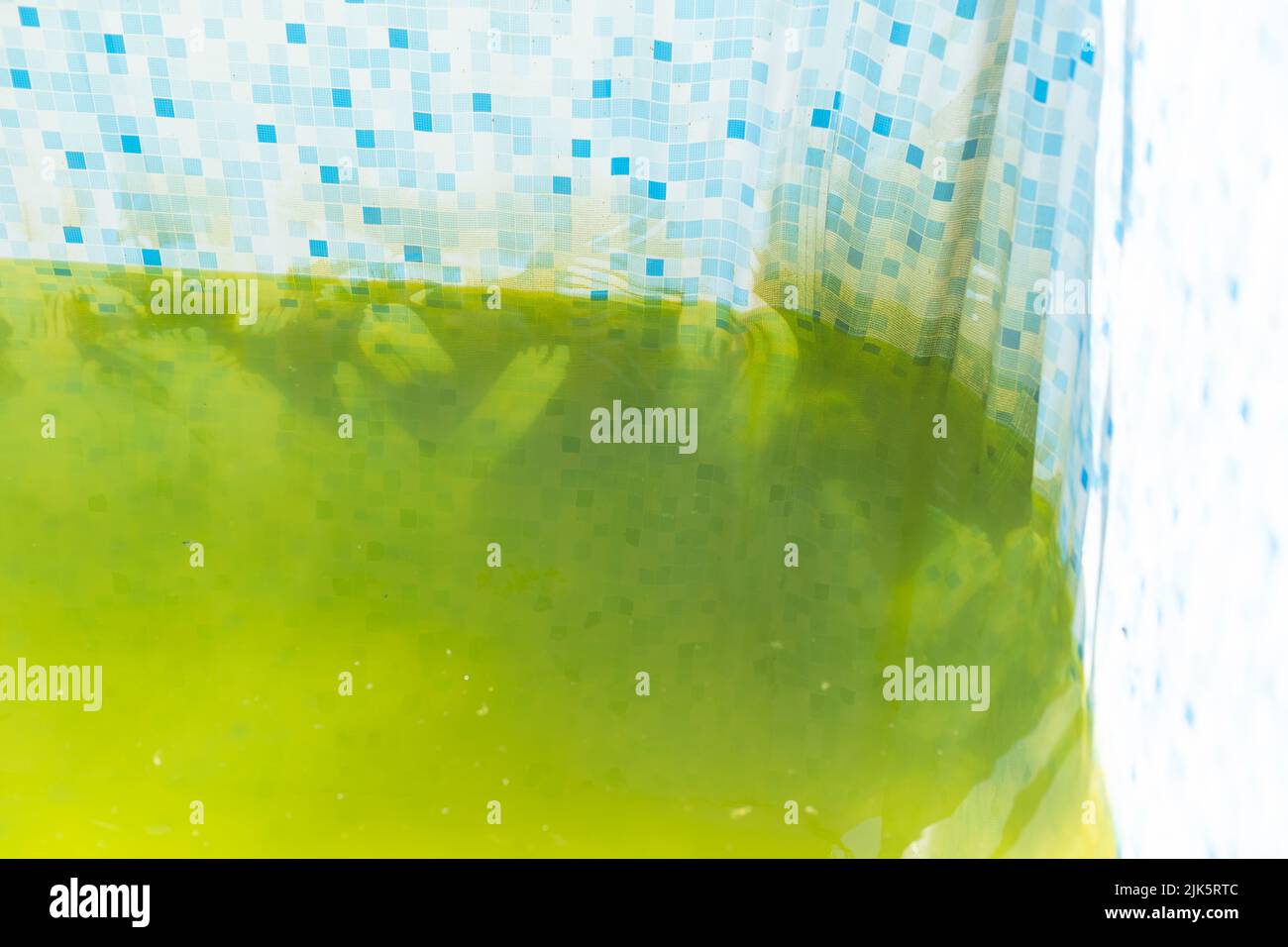 Back yard swimming pool behind modern single family home at pool ...