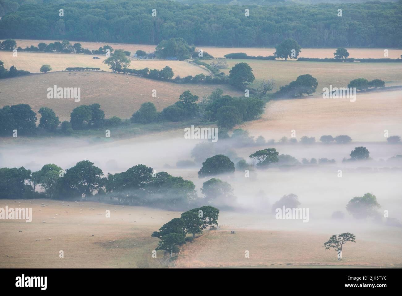 Stunning landscape image of layers of mist rolling over South Downs ...