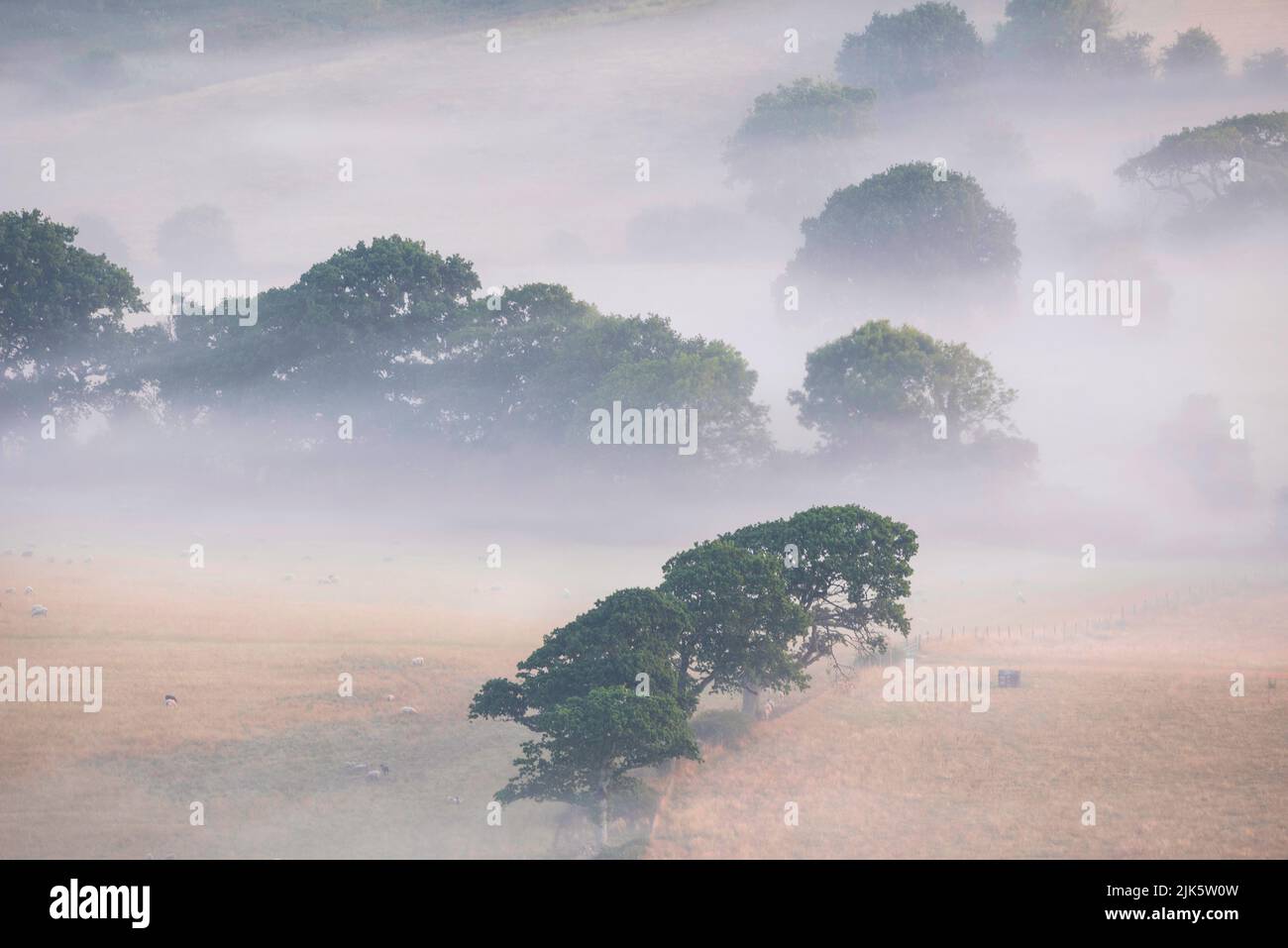 Stunning landscape image of layers of mist rolling over South Downs ...