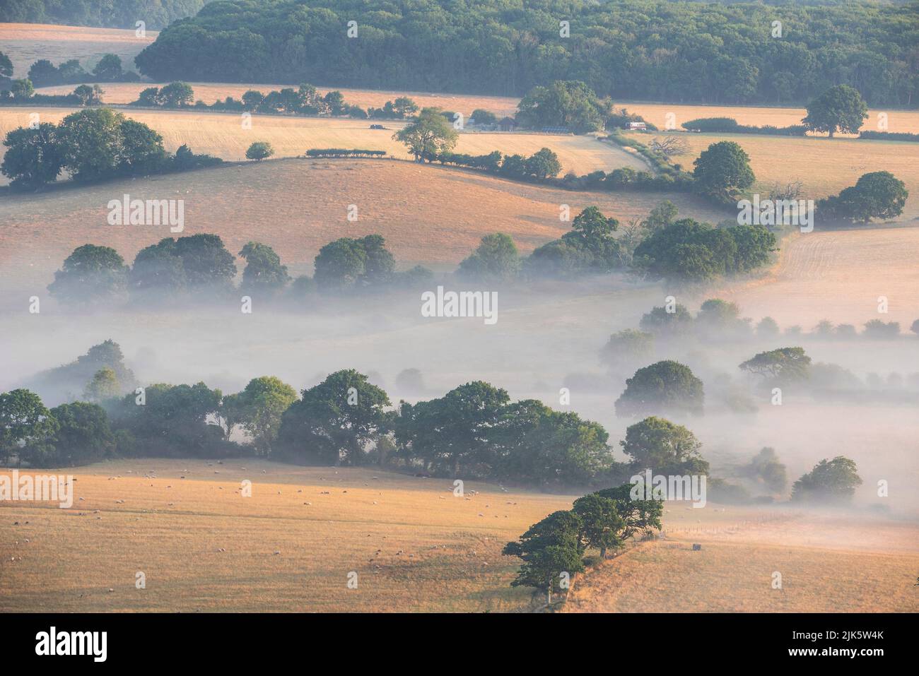 Stunning landscape image of layers of mist rolling over South Downs ...