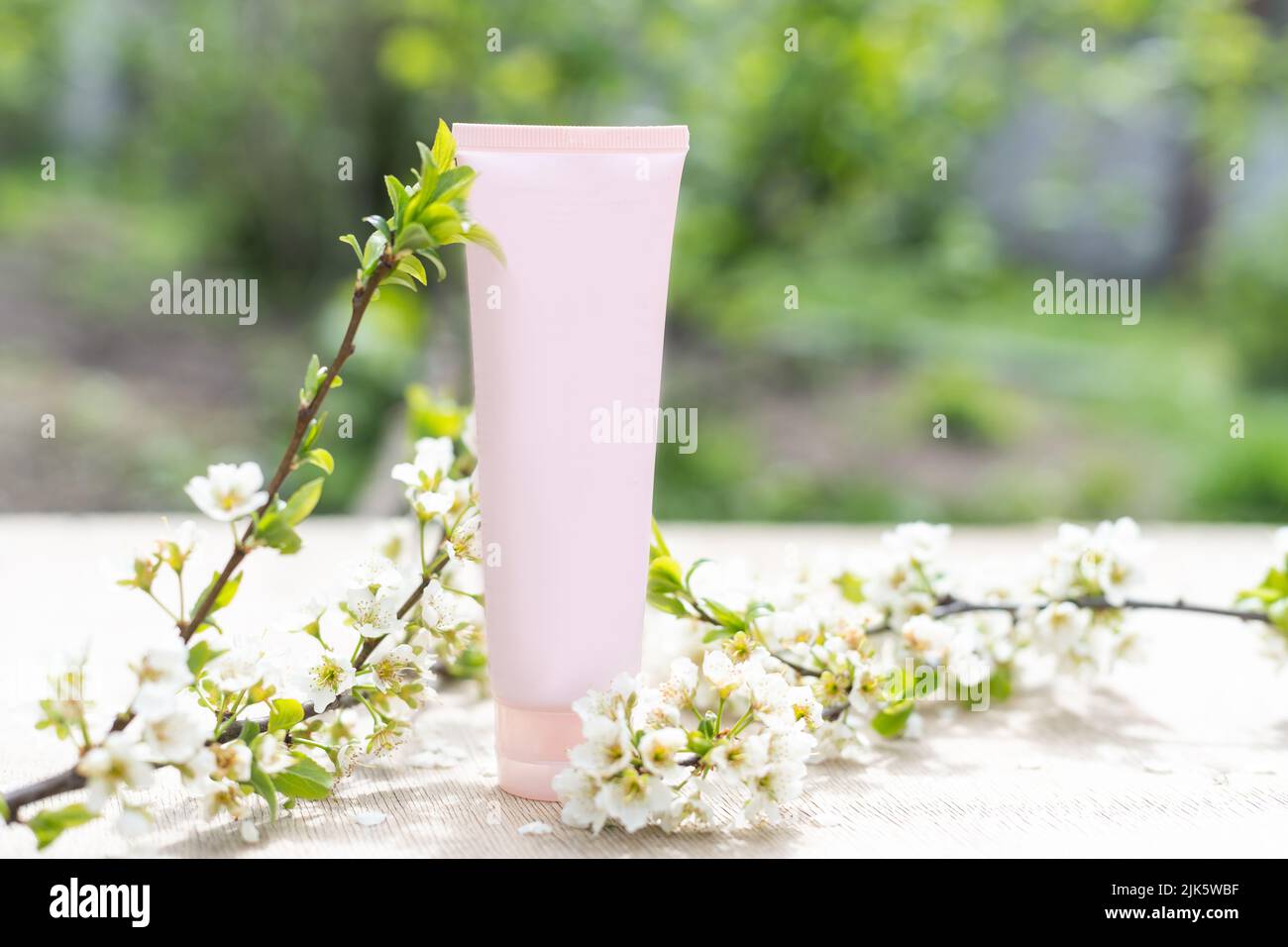 Blank white cosmetics tube and spring flowering tree branch with white ...
