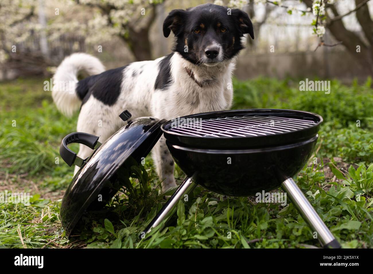 Char grills hi-res stock photography and images - Alamy
