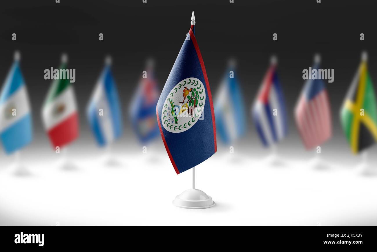 The national flag of the Belize on the background of flags of other ...