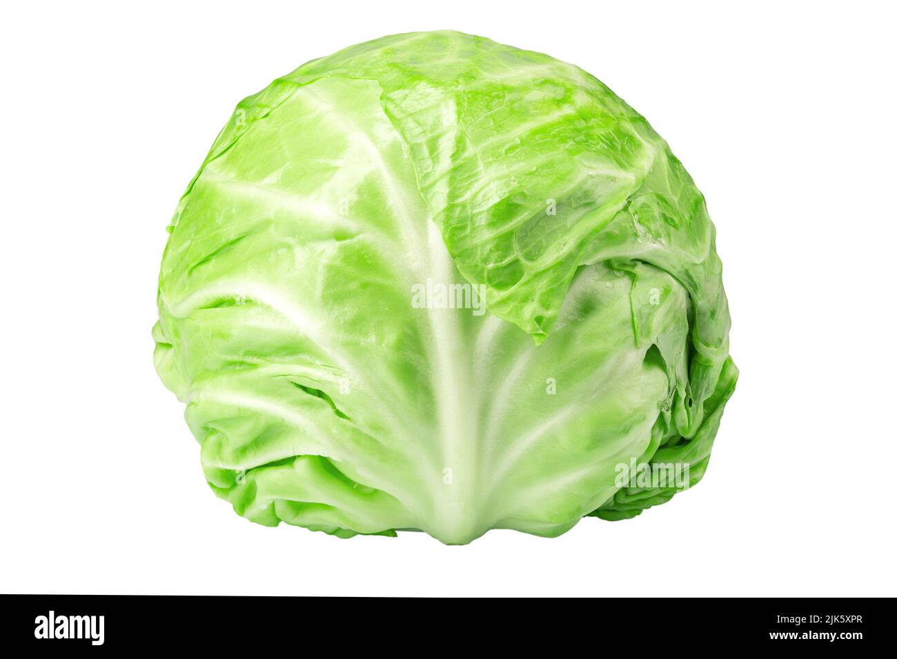 Head of young cabbage, isolated on white background, full depth of ...