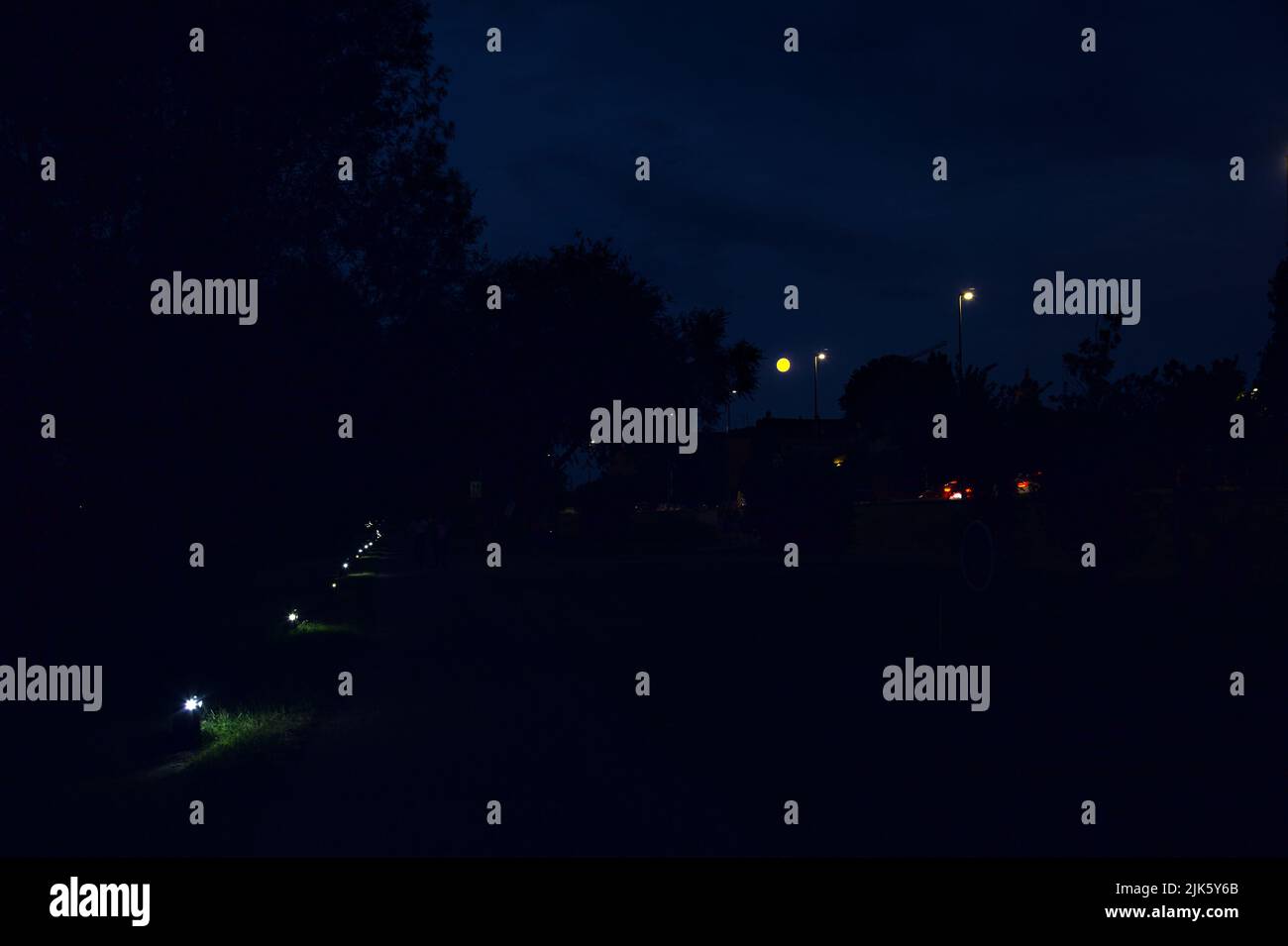 Road with street lights seen from a path at twilight Stock Photo - Alamy