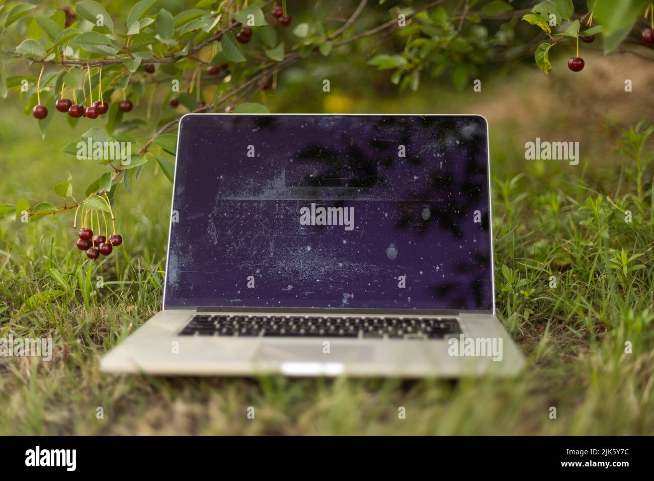 Laptop on green grass in park. Working outdoor Stock Photo - Alamy