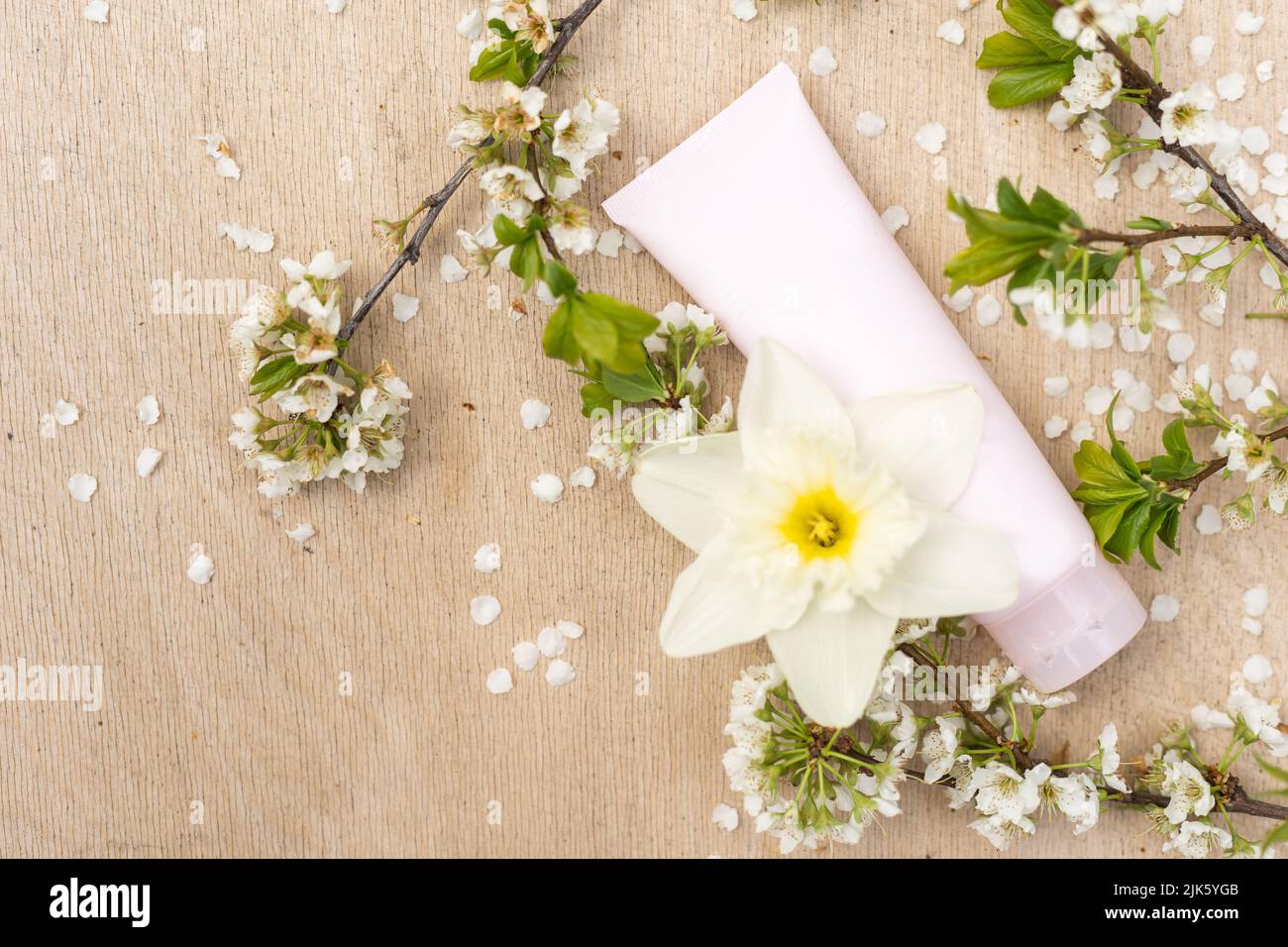 Blank white cosmetics tube and spring flowering tree branch with white ...