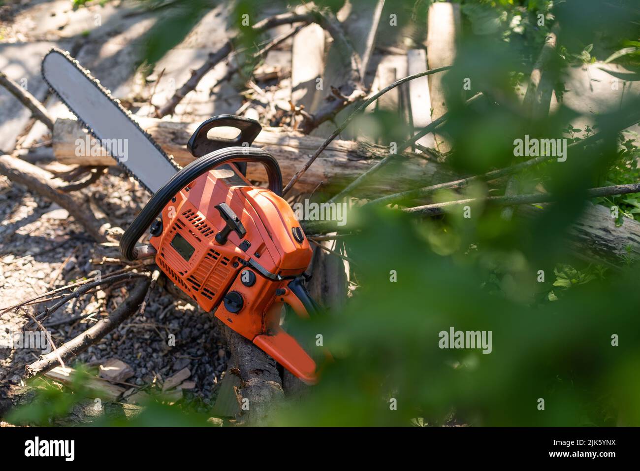 Close-up professional chainsaw blade cutting log of wood Stock Photo ...
