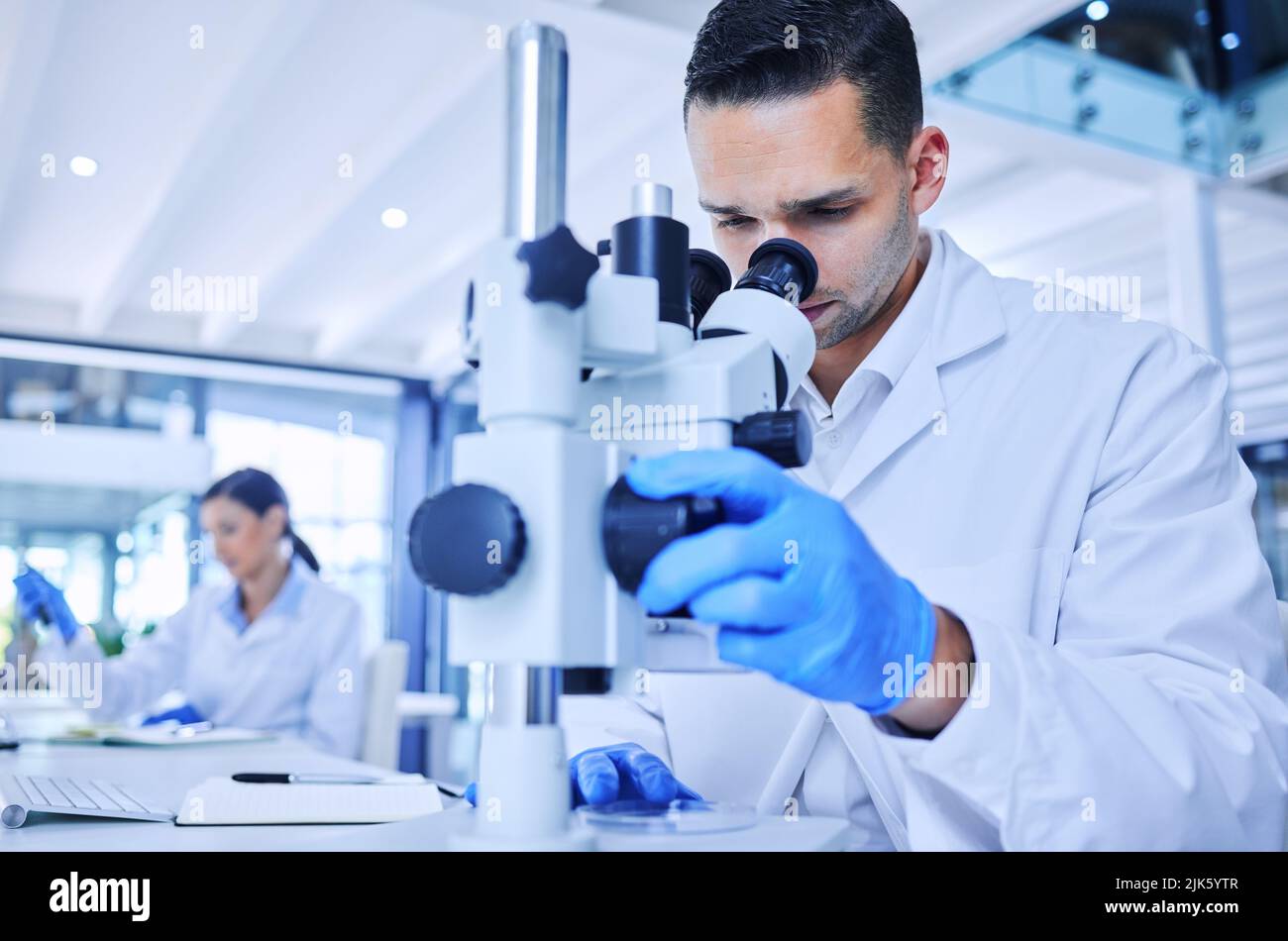 Through the microscope. a handsome young male scientist working with a ...
