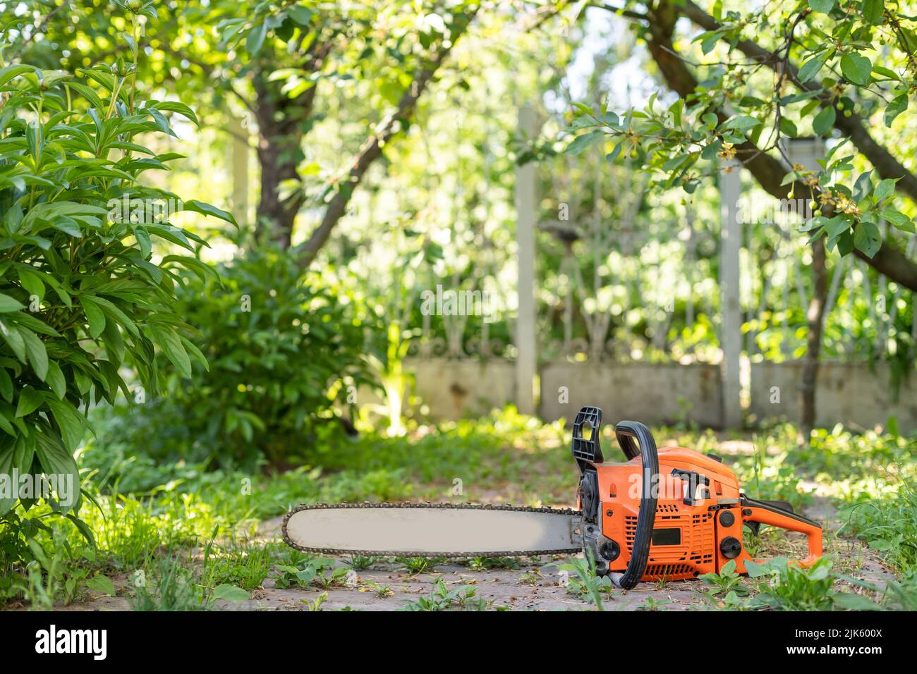 Chainsaw that stands on a heap of firewood in the yard on a beautiful ...