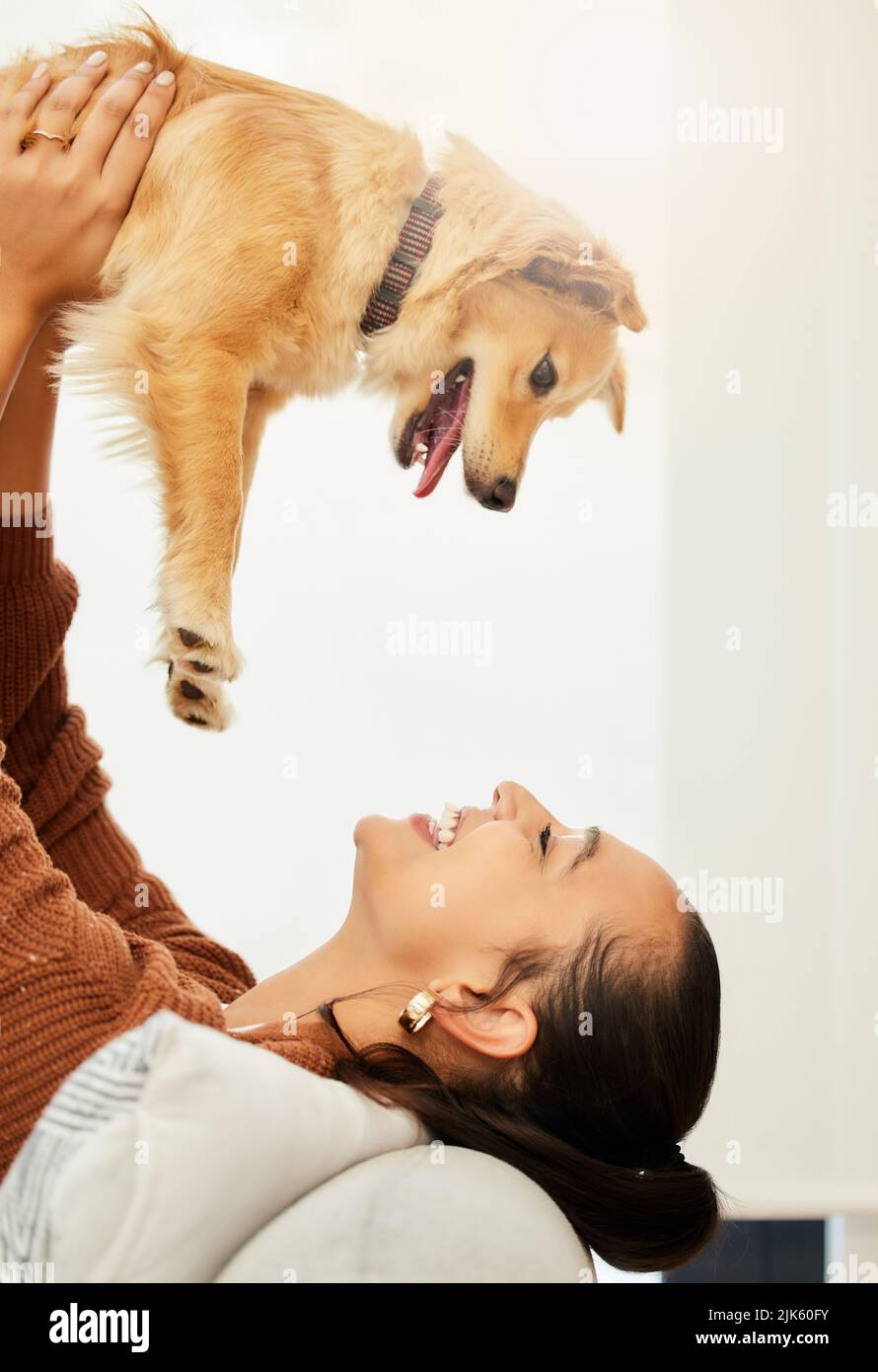 Loved forever more. an attractive young woman playfully lifting her dog ...