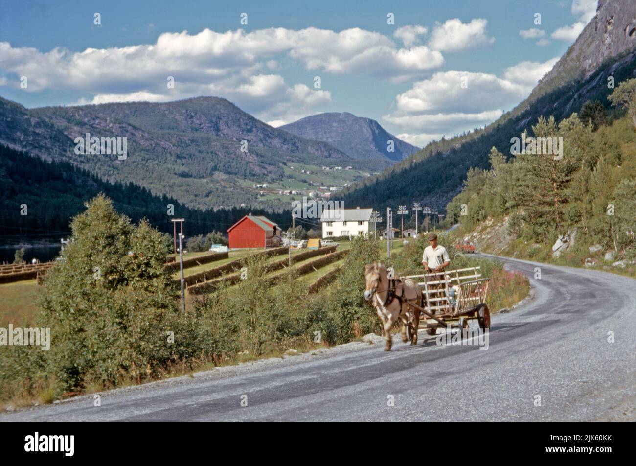 A rural scene near Bykle, Agder, Norway in 1970. A man with a child on board drives a pony and ...