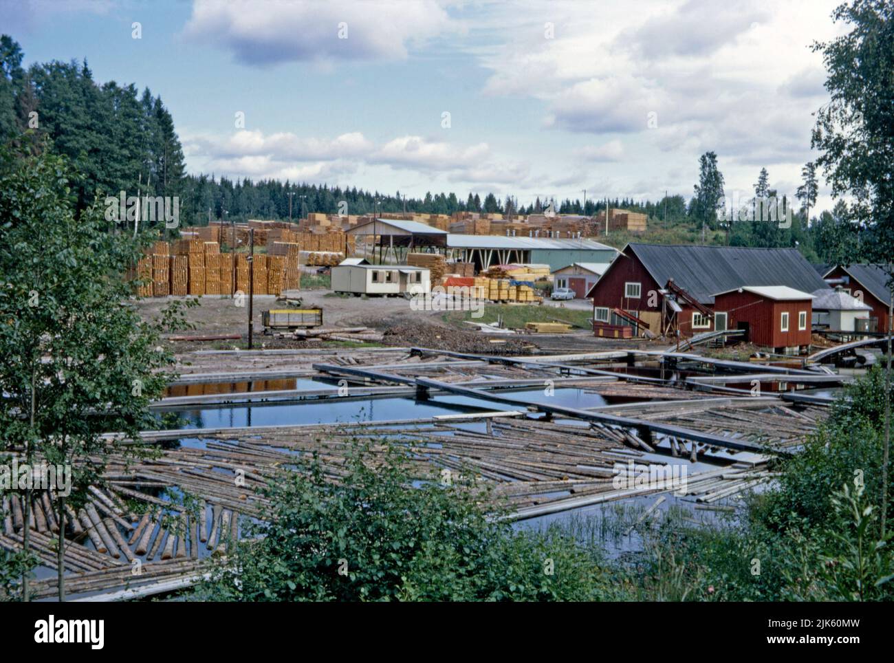 The lumber industry in Norway in 1970. Cut-down logs float ready for ...