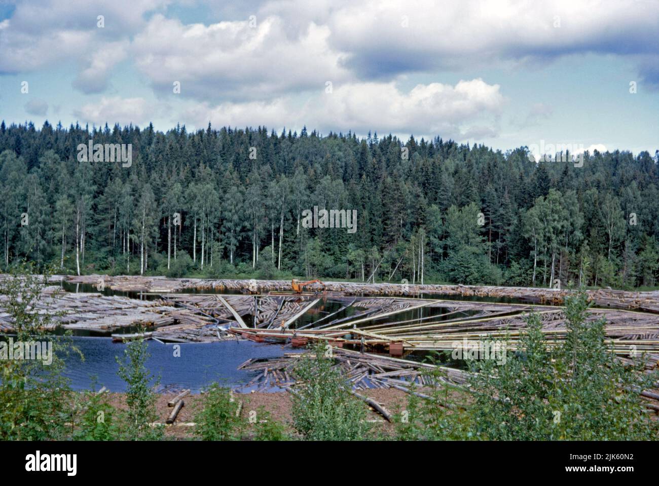 The lumber industry in Norway in 1970. Cut-down logs float ready for ...