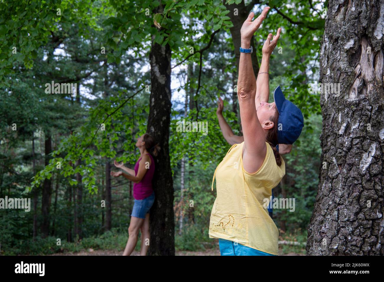 Symbol image: Group doing Forest Bathing (Shinrin yoku Stock Photo - Alamy