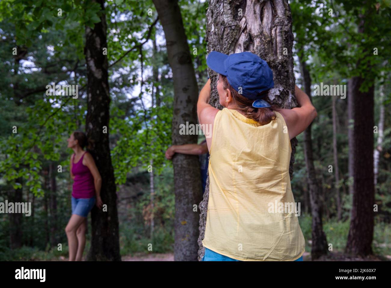 Symbol image: Group doing Forest Bathing (Shinrin yoku Stock Photo - Alamy