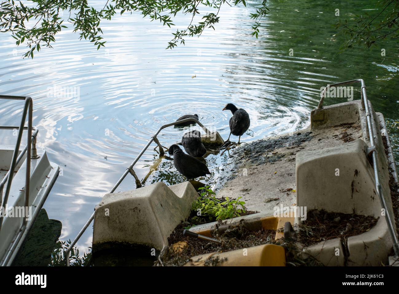 Lago di Posta Fibreno, Italia Stock Photo - Alamy