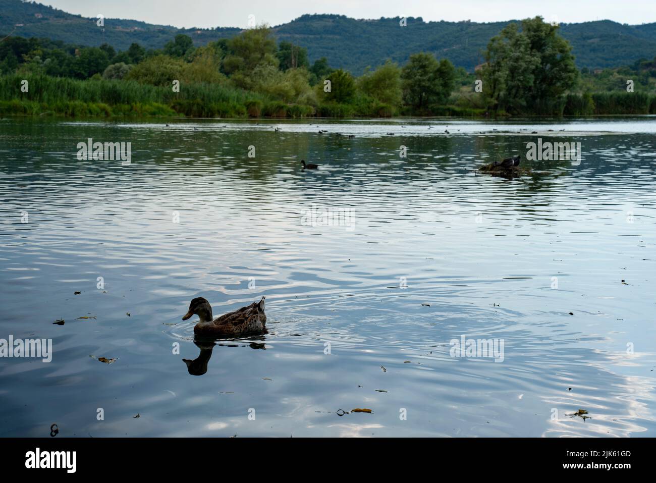 Posta fibreno nature reserve hi-res stock photography and images - Alamy