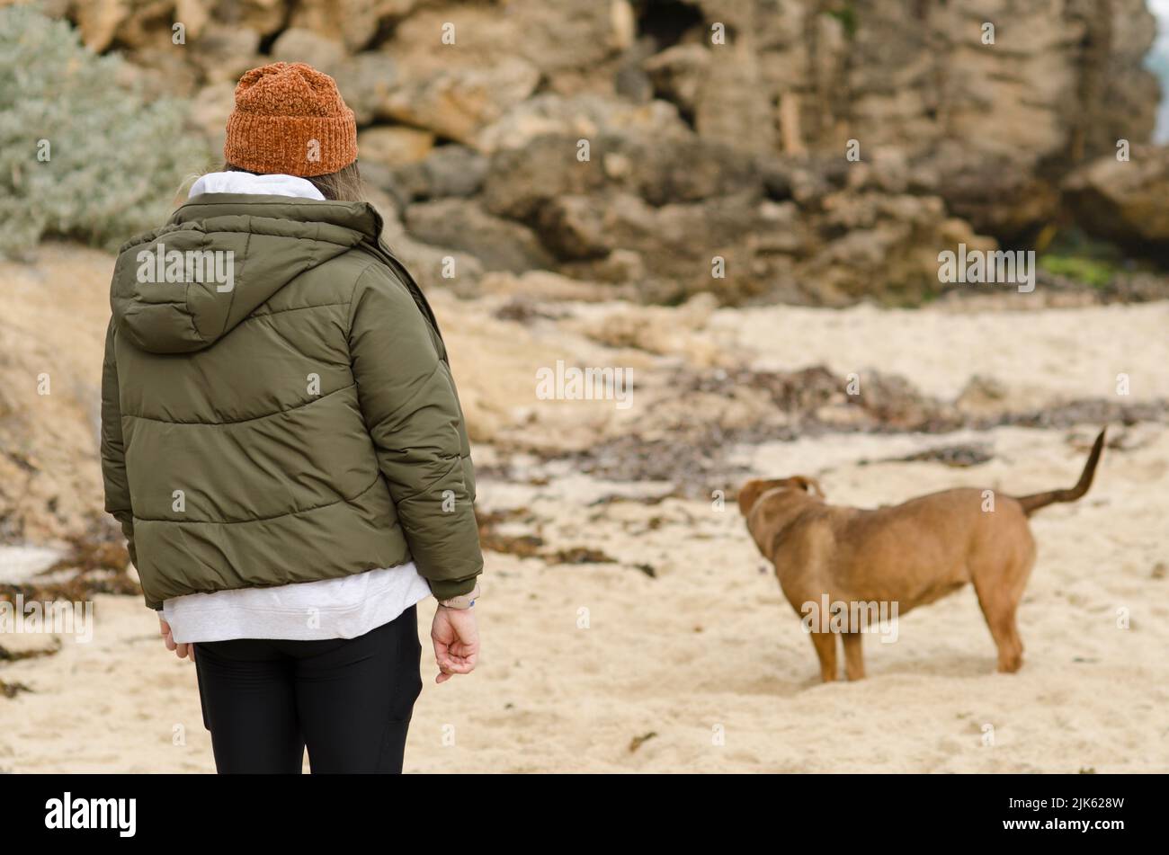Perth dog beach hi-res stock photography and images - Alamy
