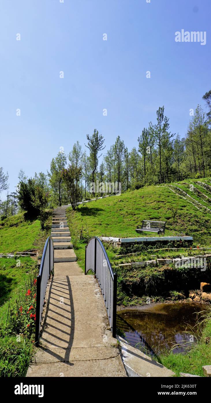 Beautiful landscapes of government tea park, ooty. Best scenic location ...