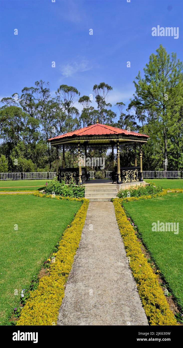 Beautiful landscapes of government tea park, ooty. Best scenic location ...