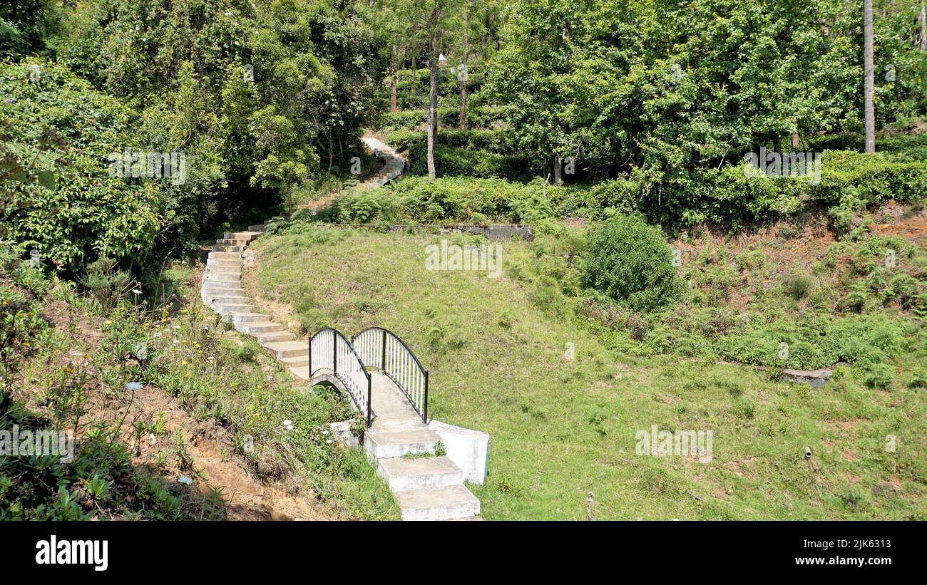 Beautiful landscapes of government tea park, ooty. Best scenic location ...