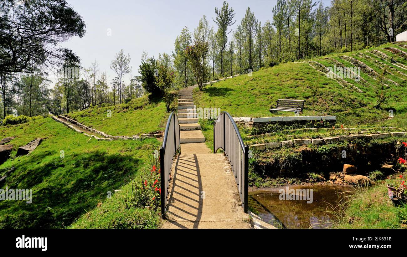 Beautiful landscapes of government tea park, ooty. Best scenic location ...