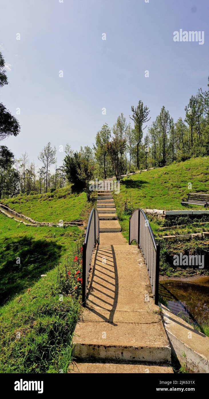 Beautiful landscapes of government tea park, ooty. Best scenic location ...