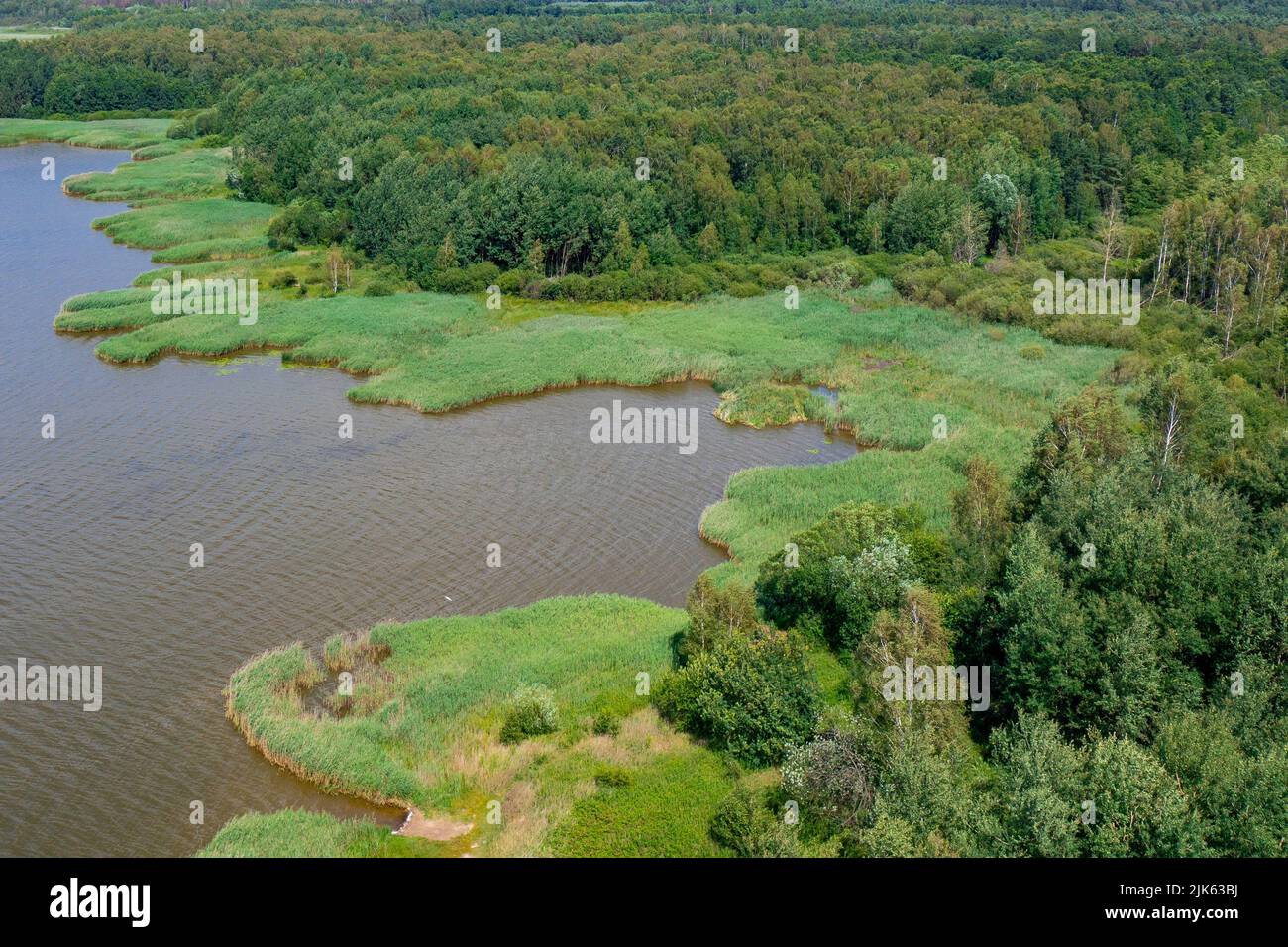 Aerial view of green lake bank. Natural habitat for wild nature and ...