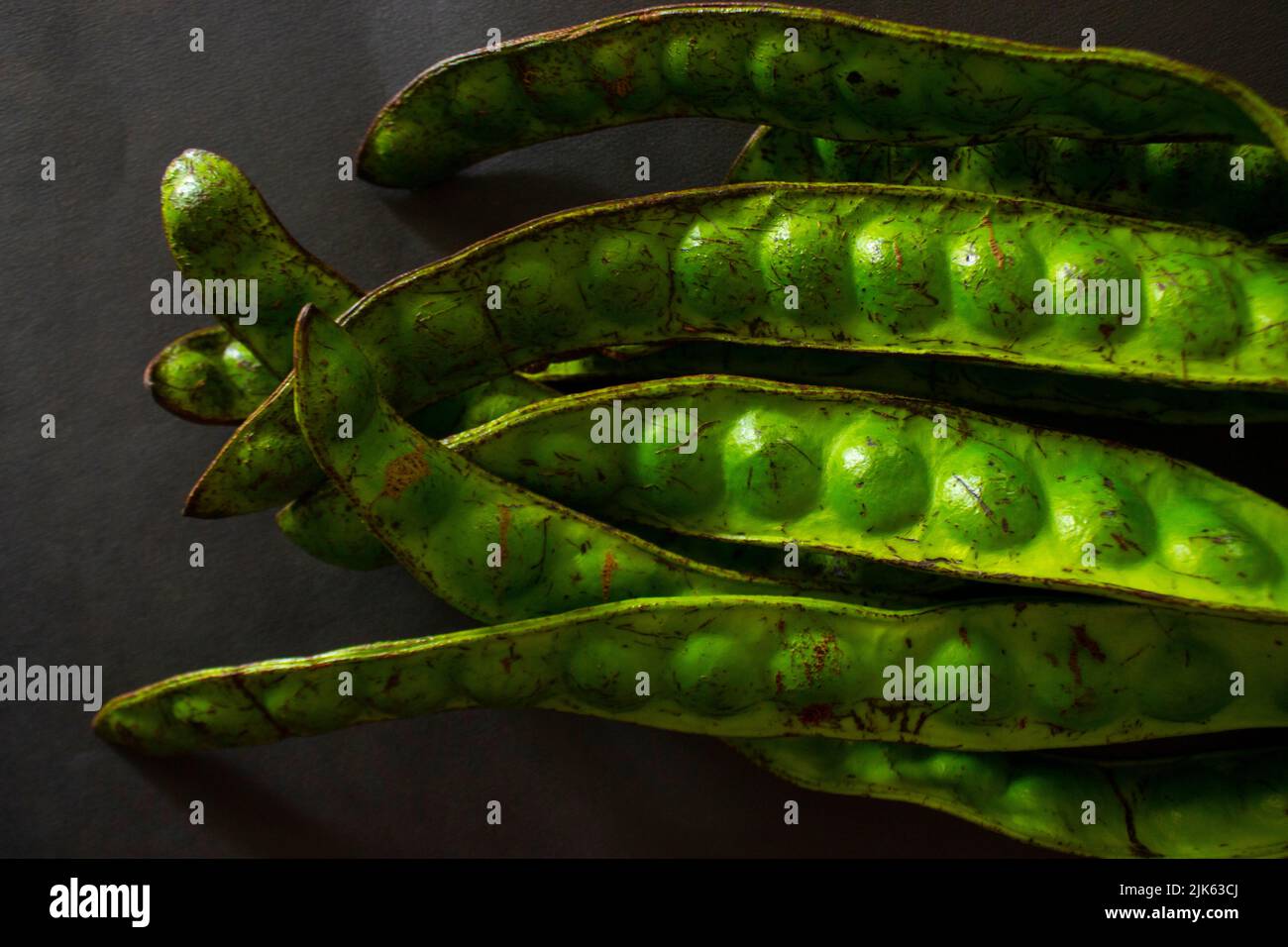 Petai, Twisted cluster bean, Stink bean, Bitter Bean, Parkia speciosa ...