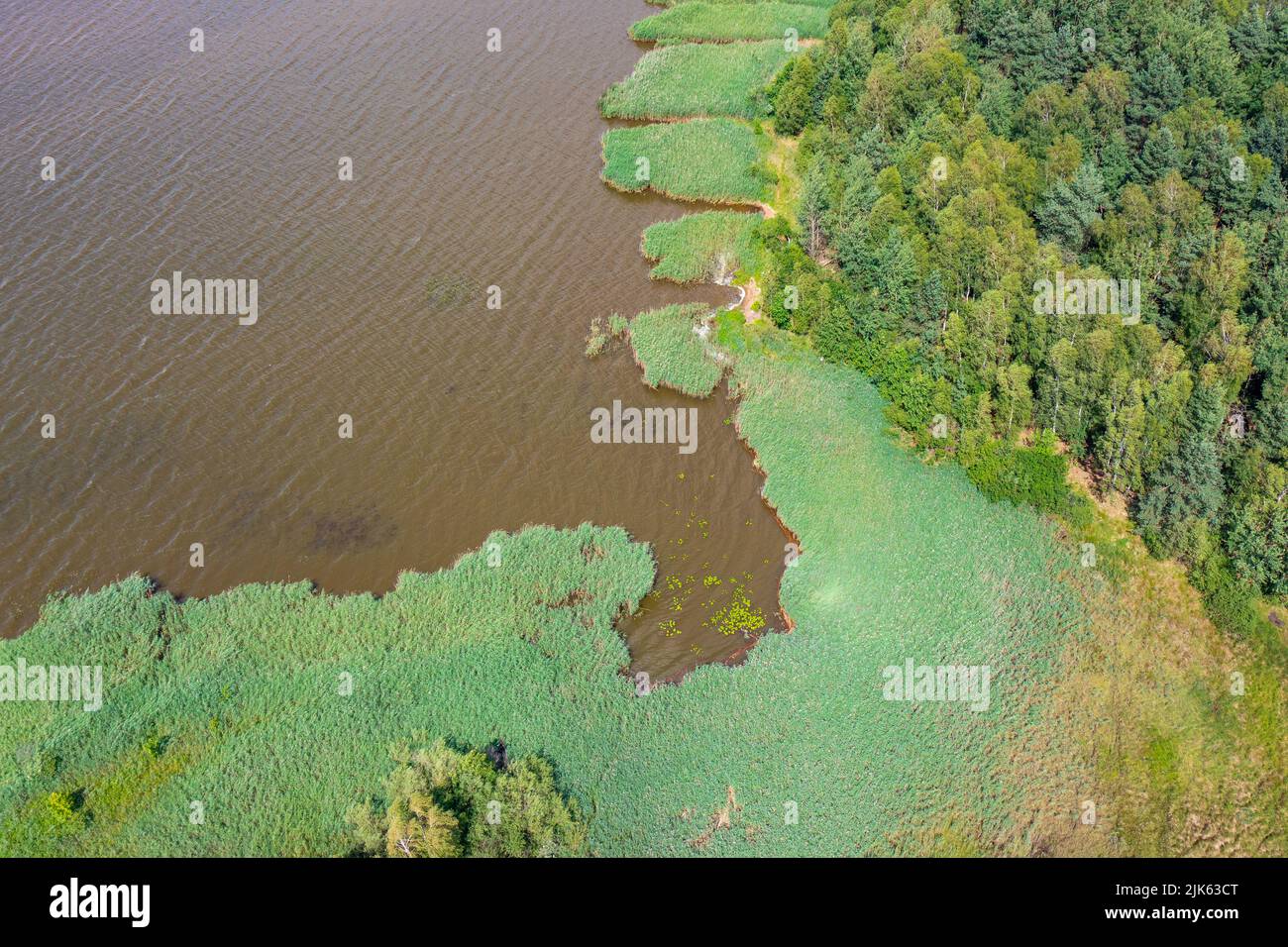 Aerial view of green lake bank. Natural habitat for wild nature and ...