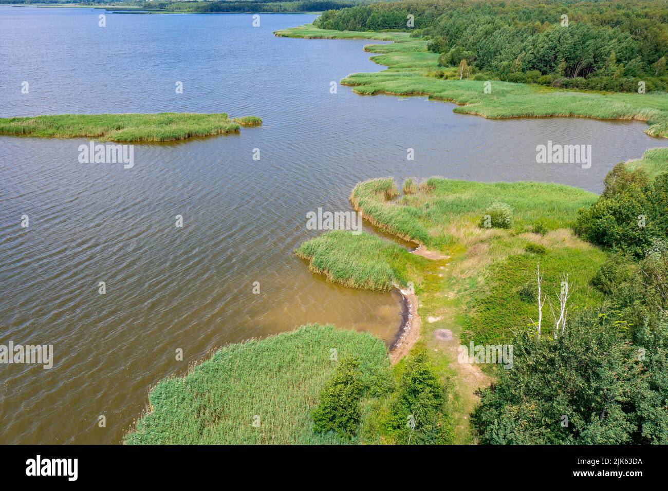 Aerial view of green lake bank. Natural habitat for wild nature and ...