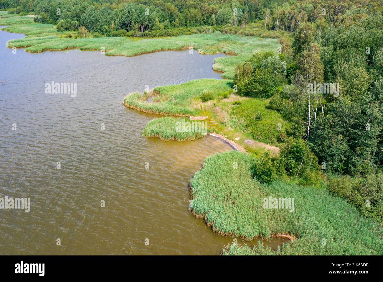 Aerial view of green lake bank. Natural habitat for wild nature and ...