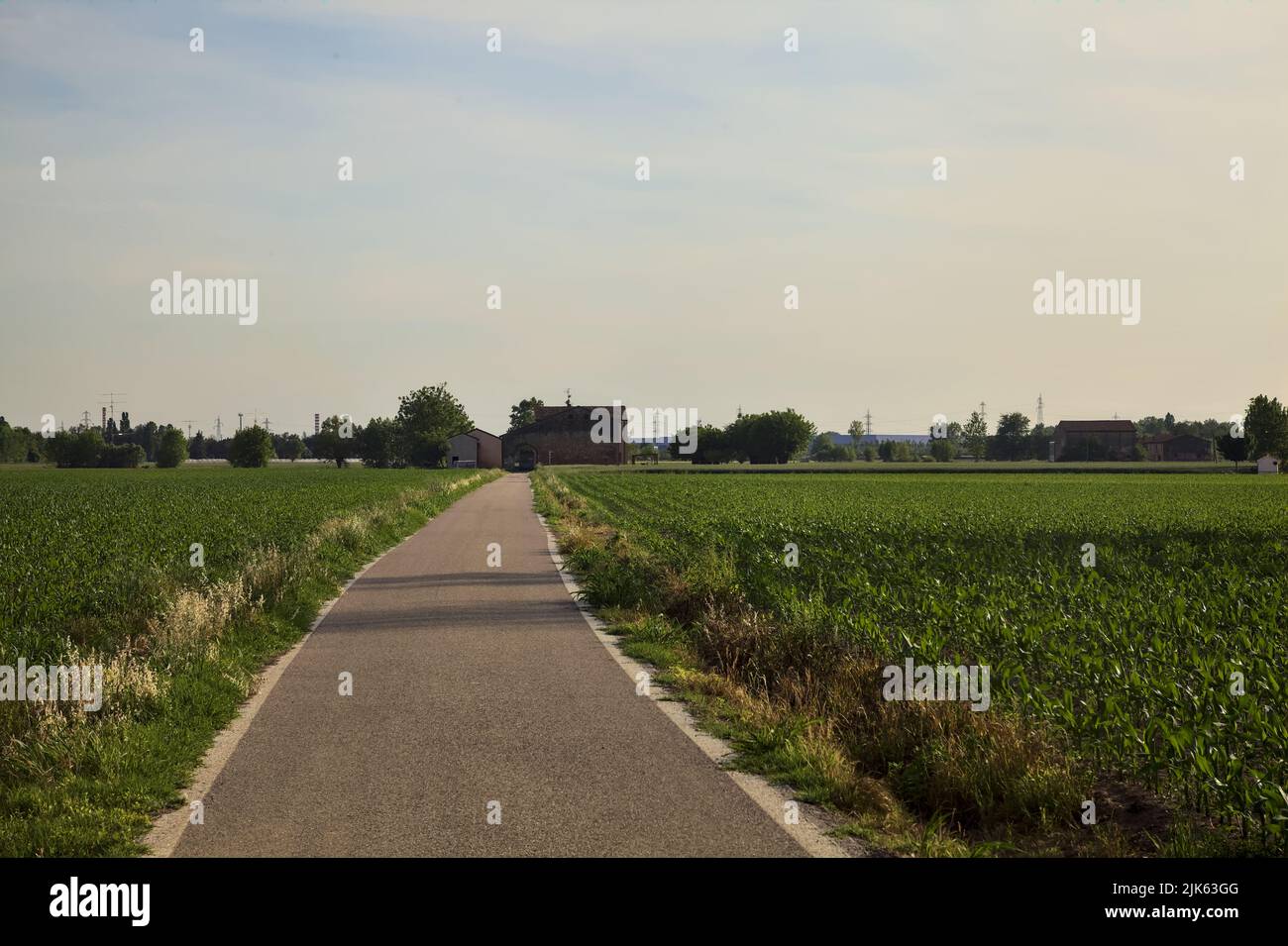 Road in the middle of fields that leads to a country manor in the ...