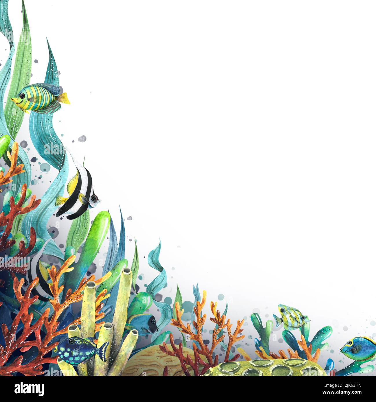 Corner frame with tropical fish, sea corals, sponges and algae ...