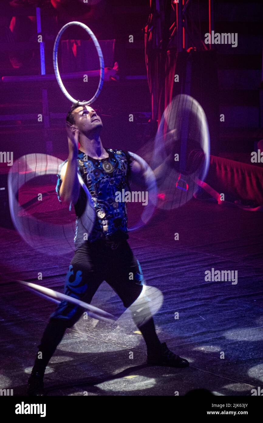 Circus clowns trained animals hi-res stock photography and images - Alamy