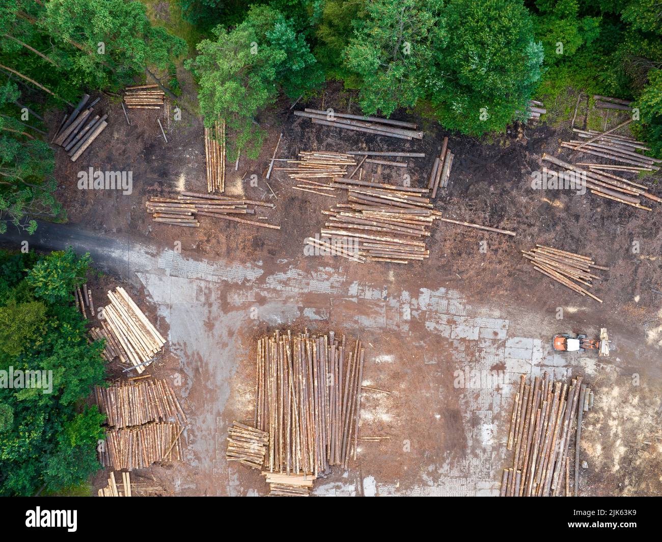Pile of Logs in Sawmill Industry Aerial View. Green pine forest from ...