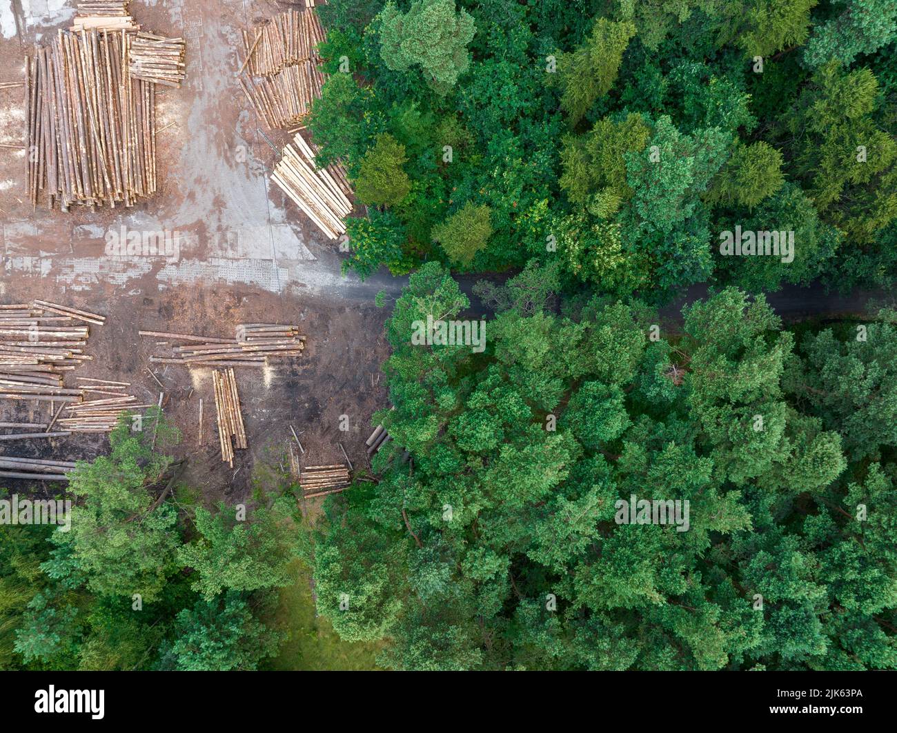Pile of Logs in Sawmill Industry Aerial View. Green pine forest from ...