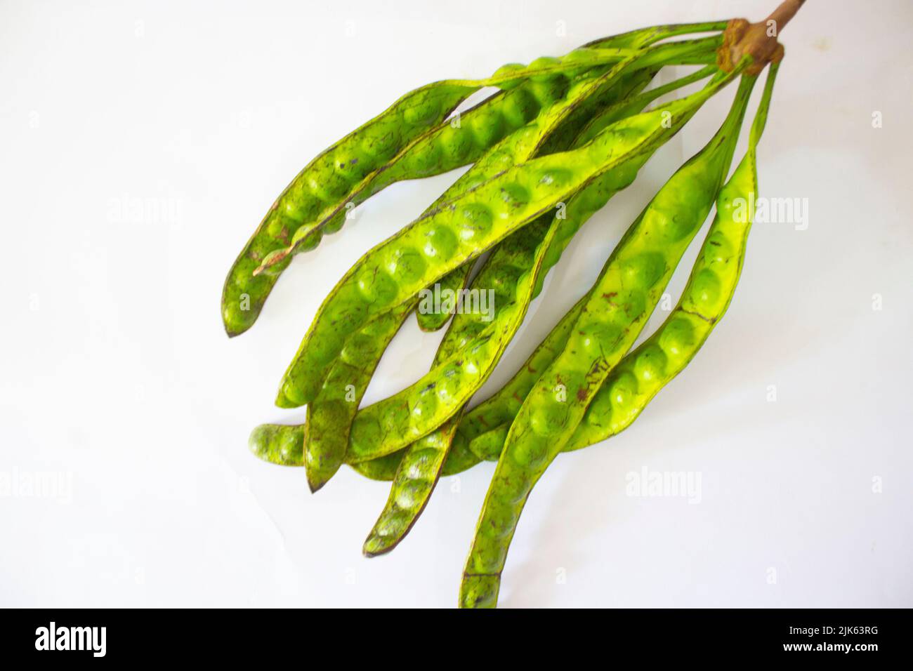 Petai, Twisted cluster bean, Stink bean, Bitter Bean, Parkia speciosa ...